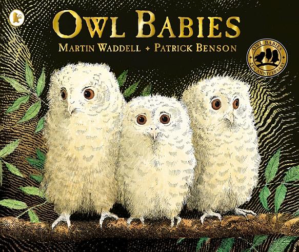 Kids' Book Review: Review: Owl Babies