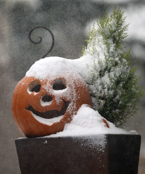 Something wicKED this way comes....: Snumpkins [Snow Pumpkins] (Day 11 ...