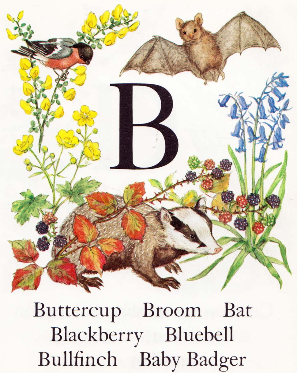 Vintage Kids' Books My Kid Loves: An Alphabet by Molly Brett