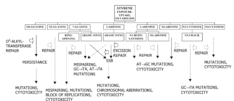 Cuma Nulis: BIOMARKER UNTUK STIRENA