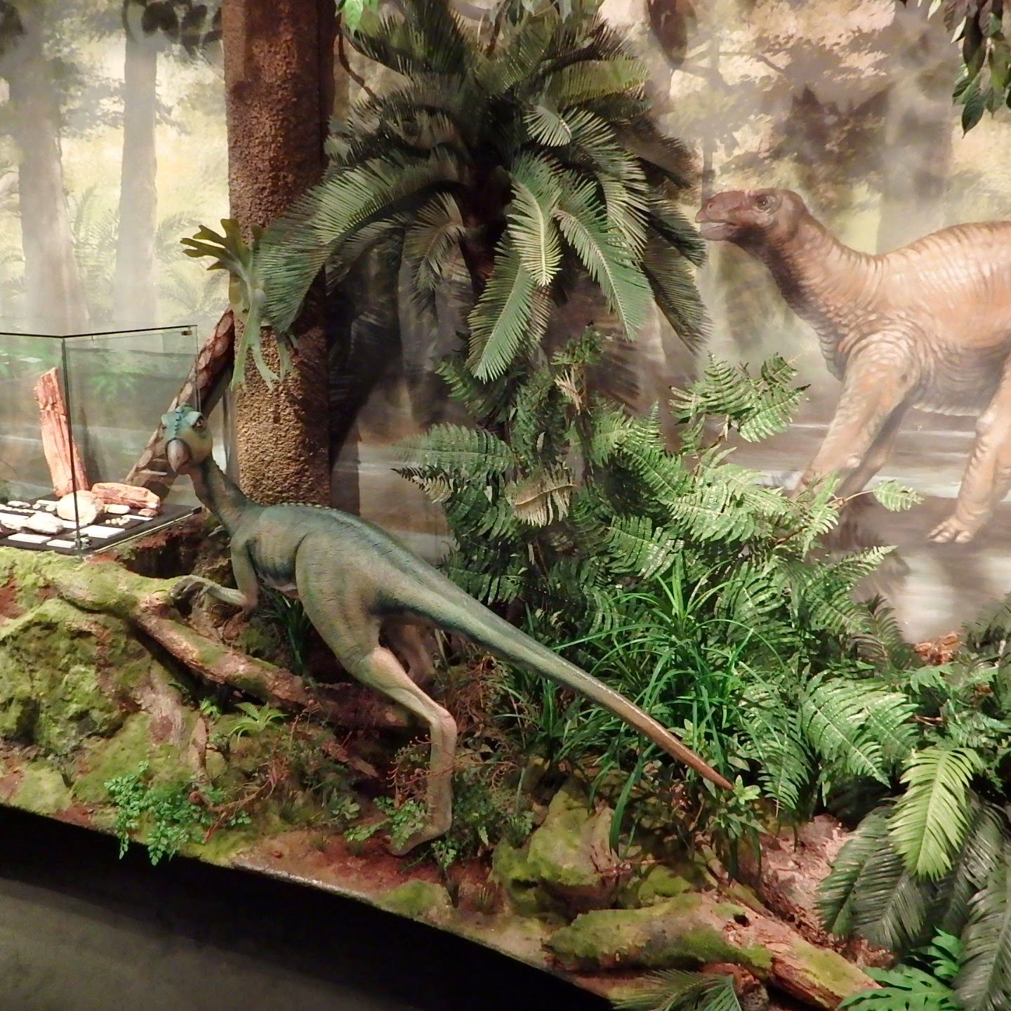 BONE ROOMS: The National Opal Collection