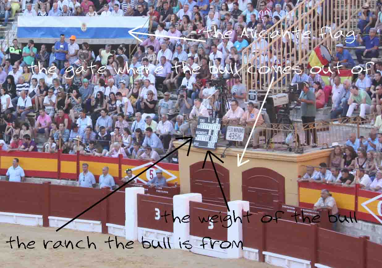 This is Alicante Life: The Spanish tradition of bullfighting