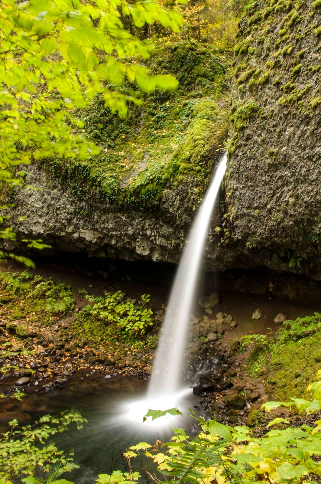 Illuminations from the attic: Fall hiking in the Columbia Gorge.