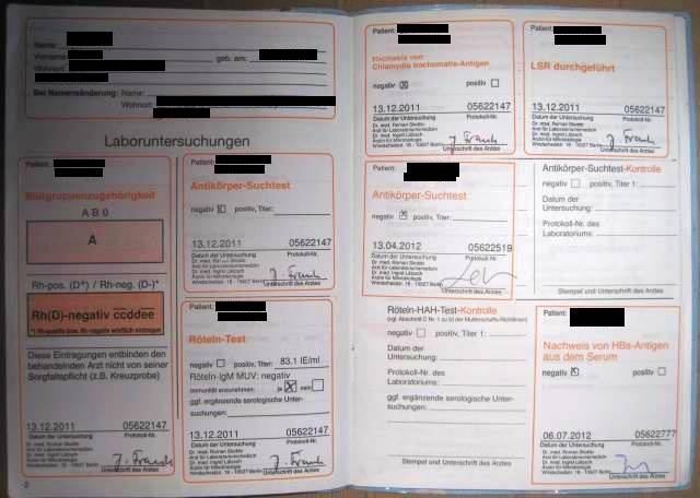 Berlinstadtbaby: Mutterpass