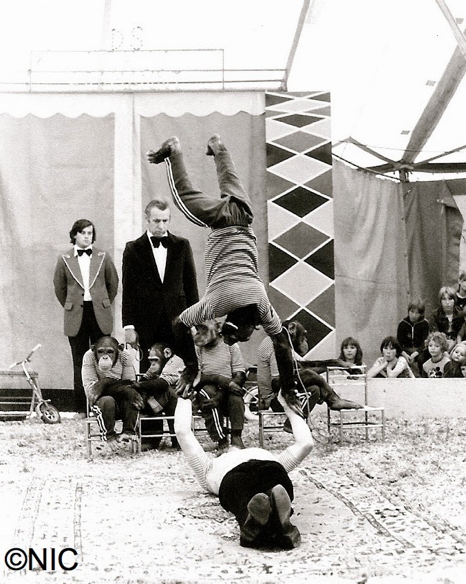 Norberts Internationale Circuswelt: Circus Aramannt 1979 (Direktion ...