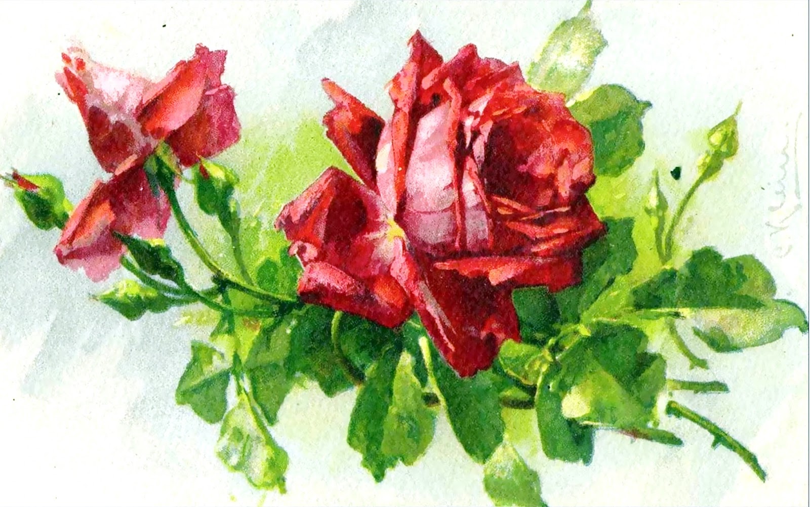 Vintage Art Red Roses Prints Postcard | Joy Design Studio