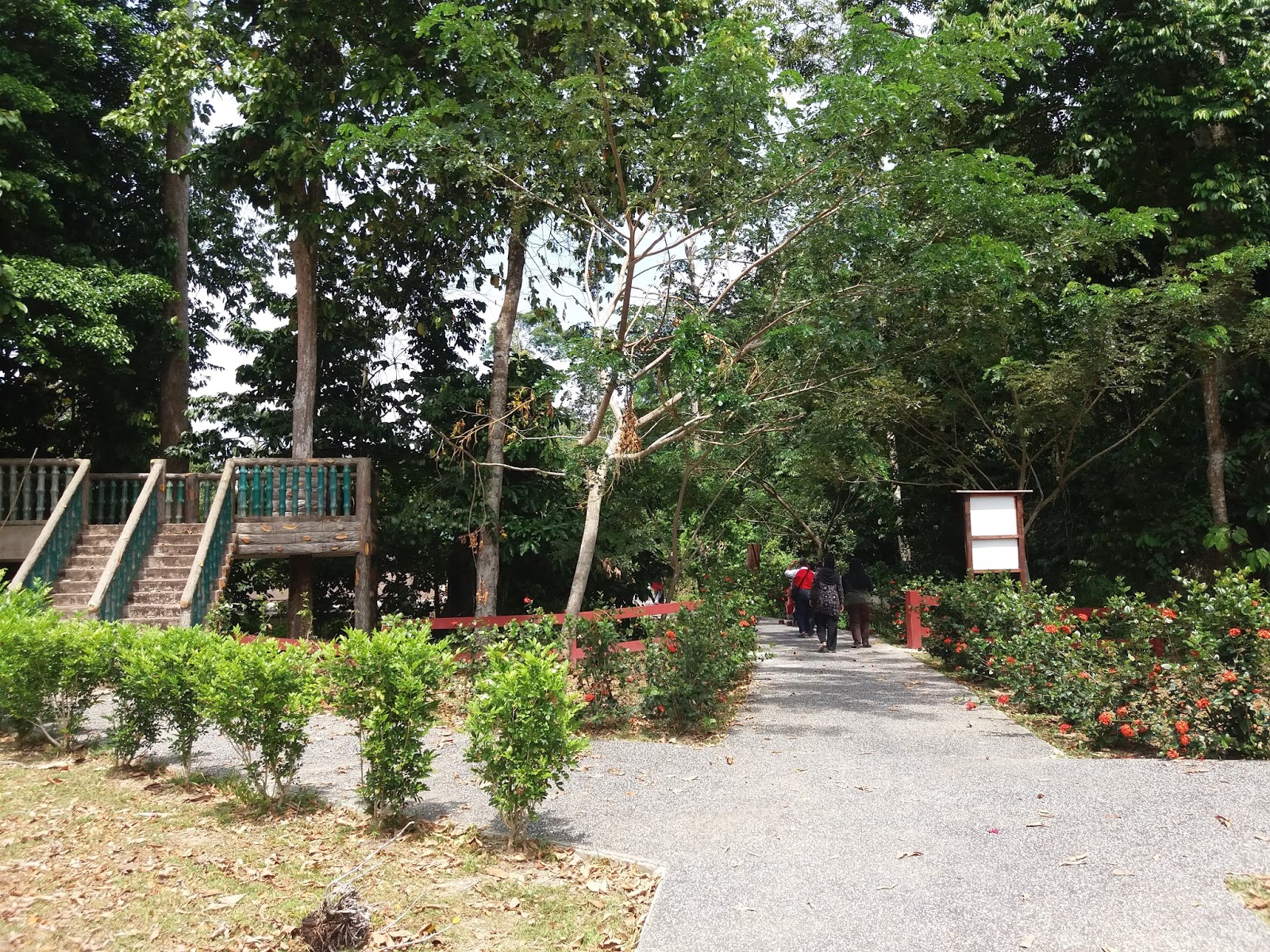 Yok Rempitan ...: Santuari Gajah Kuala Gandah .Lanchang Pahang