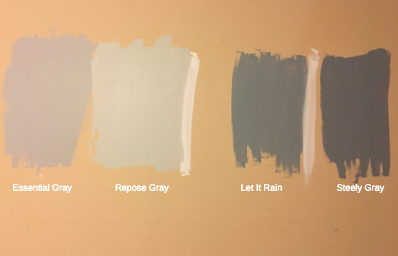 Sherwin Williams Essential Gray