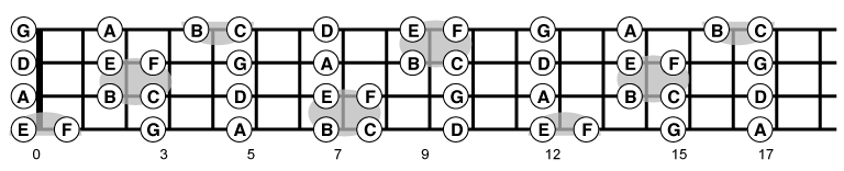 Bass Fretography: Bass Fretboard Symmetry