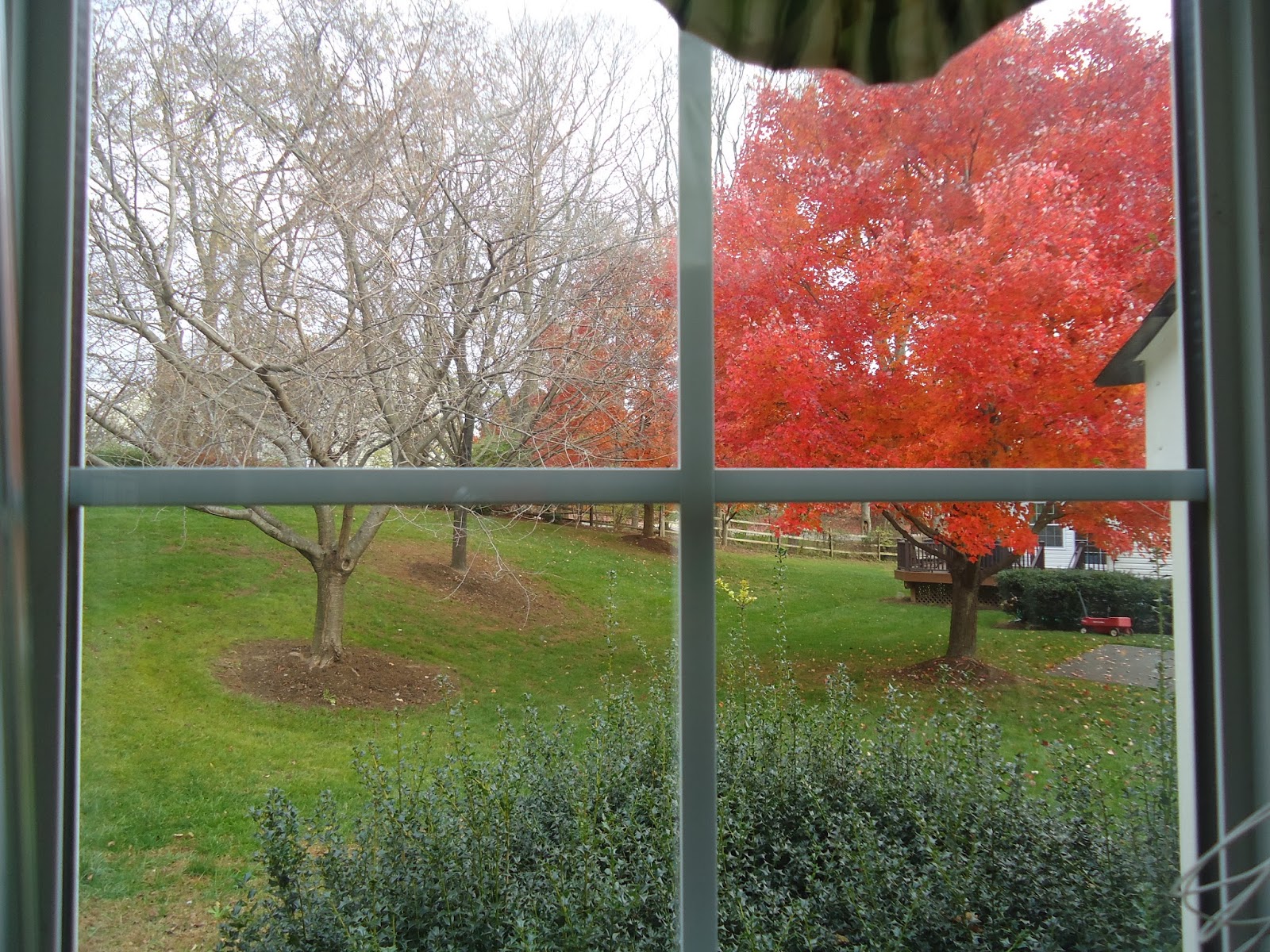 So How Was Your Day?: Somewhere Between Fall and Winter