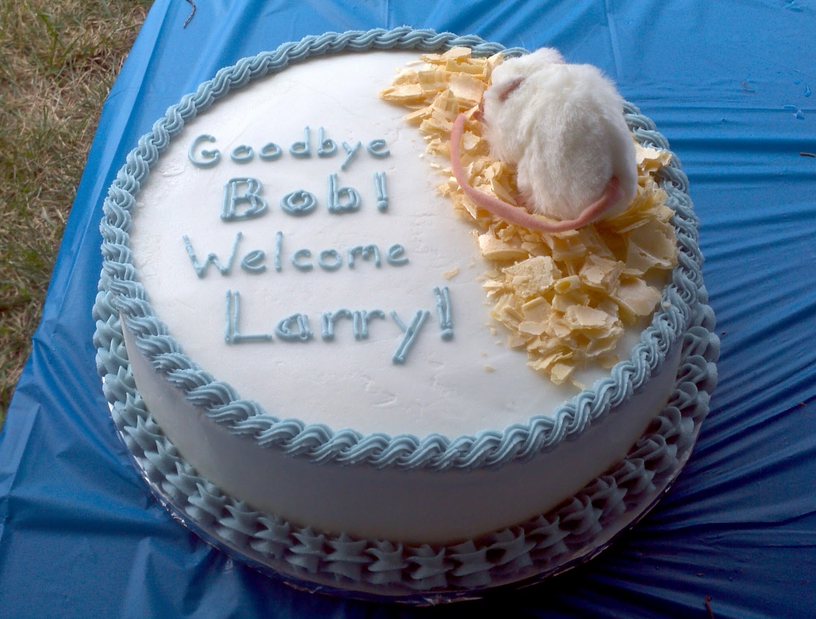 Edible Aesthetics: Rat Cake