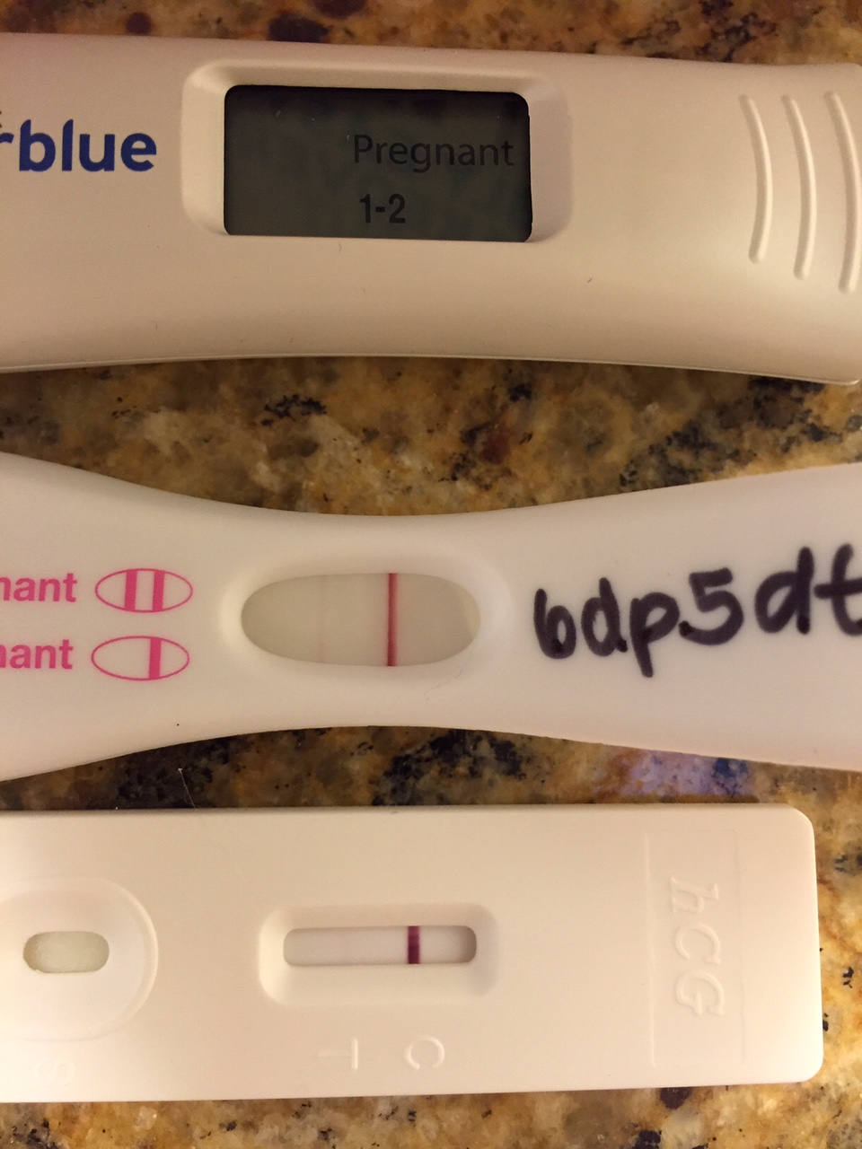 Love, Infertility and Coconuts: 6DP5DT