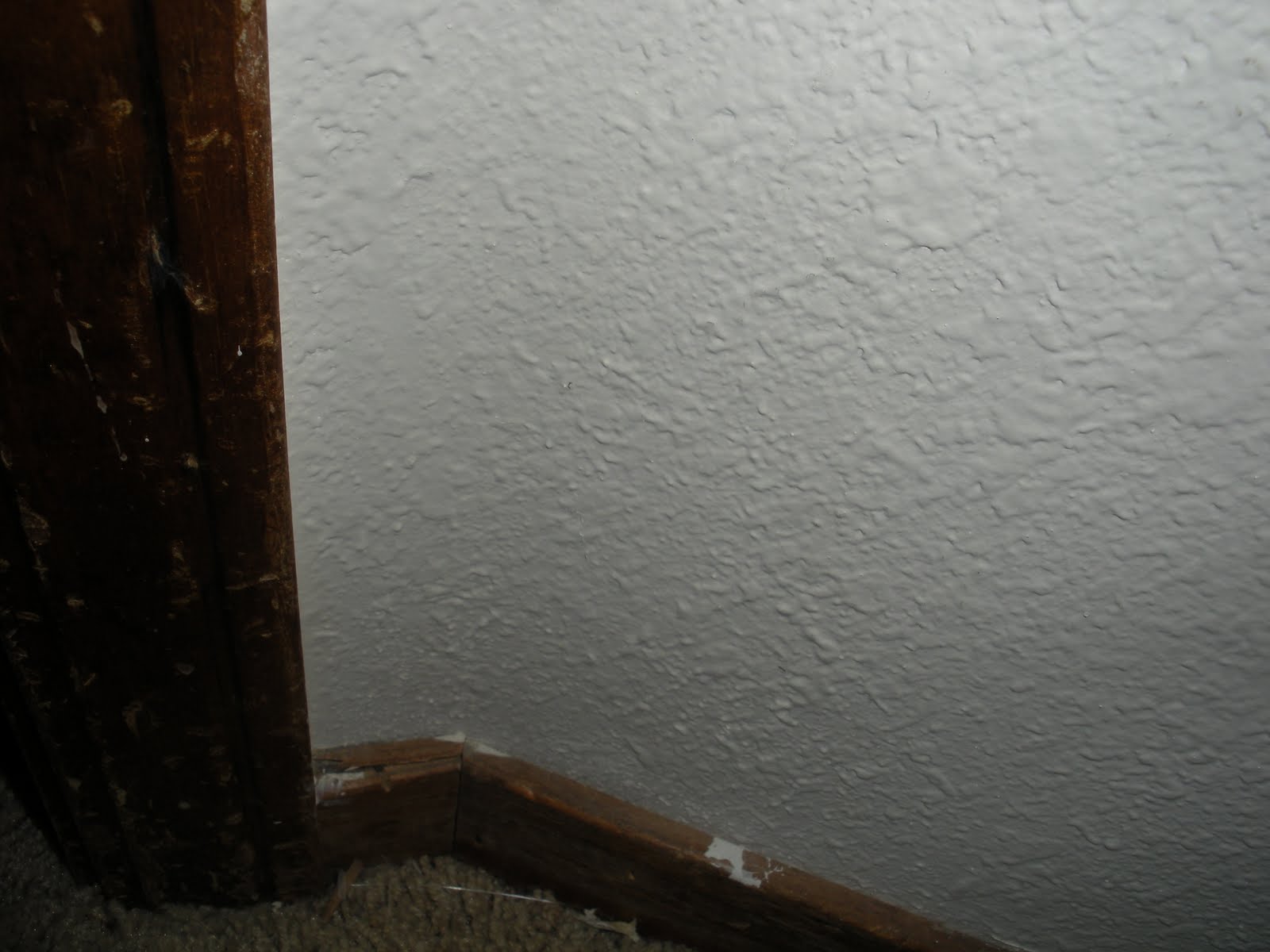 Always a Treasure: Inverted Bullnose...?