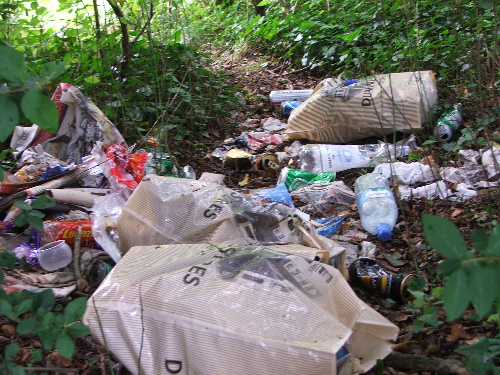 Speedie's Blog: Nature is the 99%, too - Opinion - Al Jazeera English