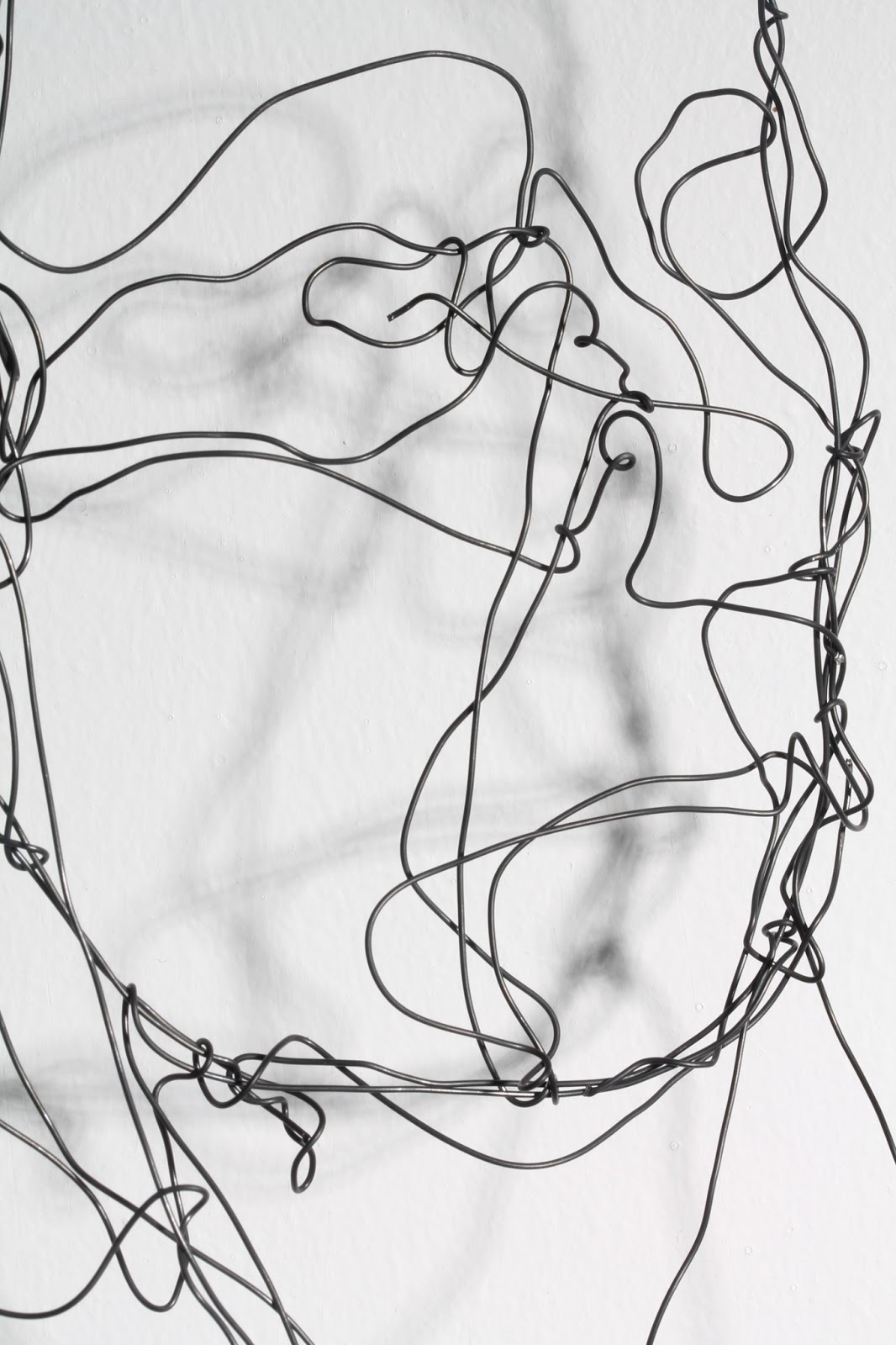 Megan Rodgers Art Blog: Wire drawings