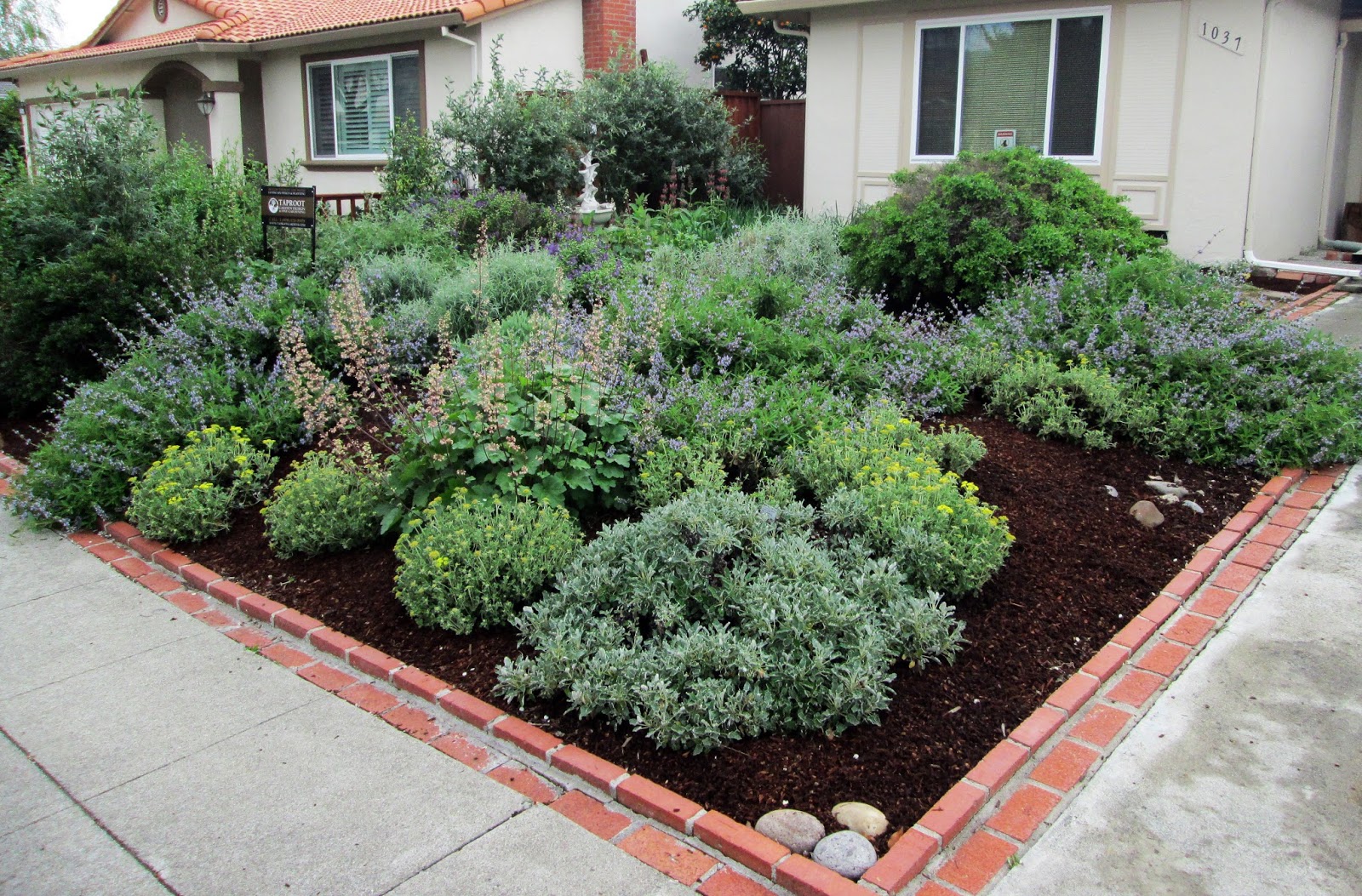 Taproot Garden Design & Fine Gardening: Sweet Harmony - Lily's Garden ...