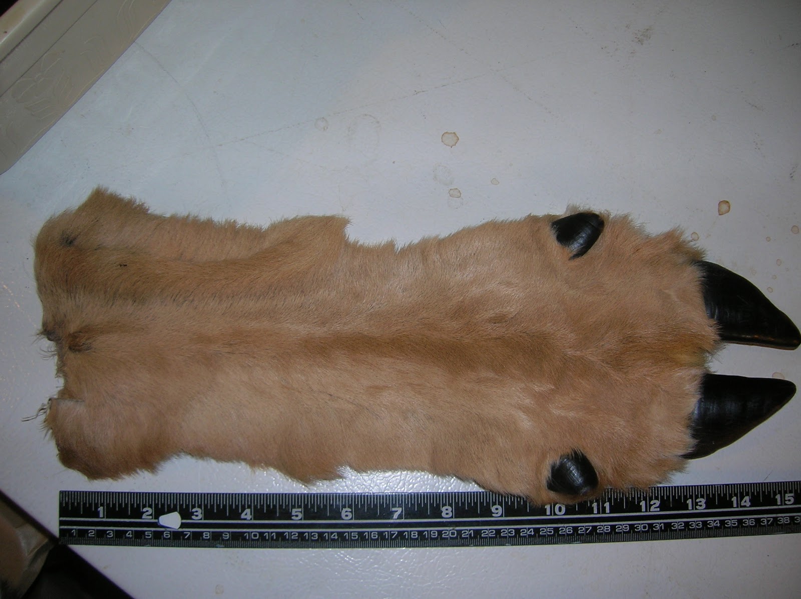 Musings of Musang: Mule Deer hock skin: part 2 - removing long and ...