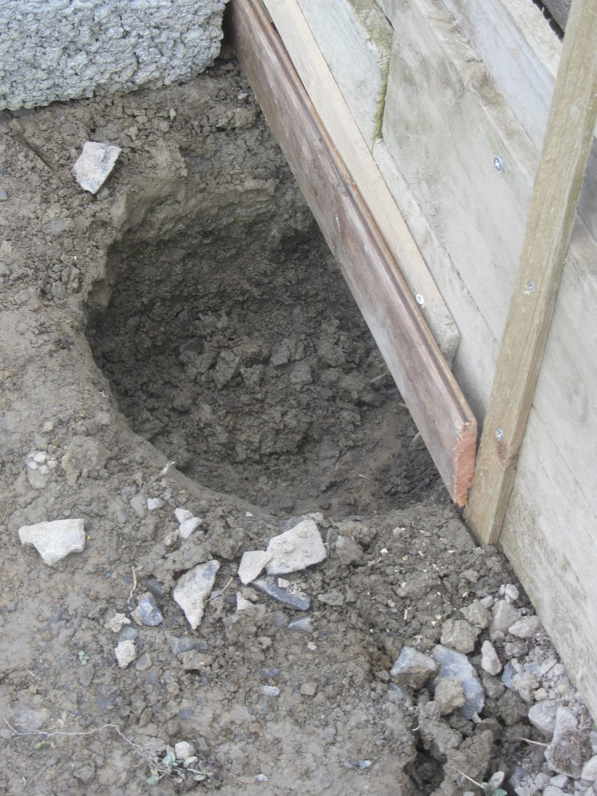 Us in Orkney: Polycrub Part 1