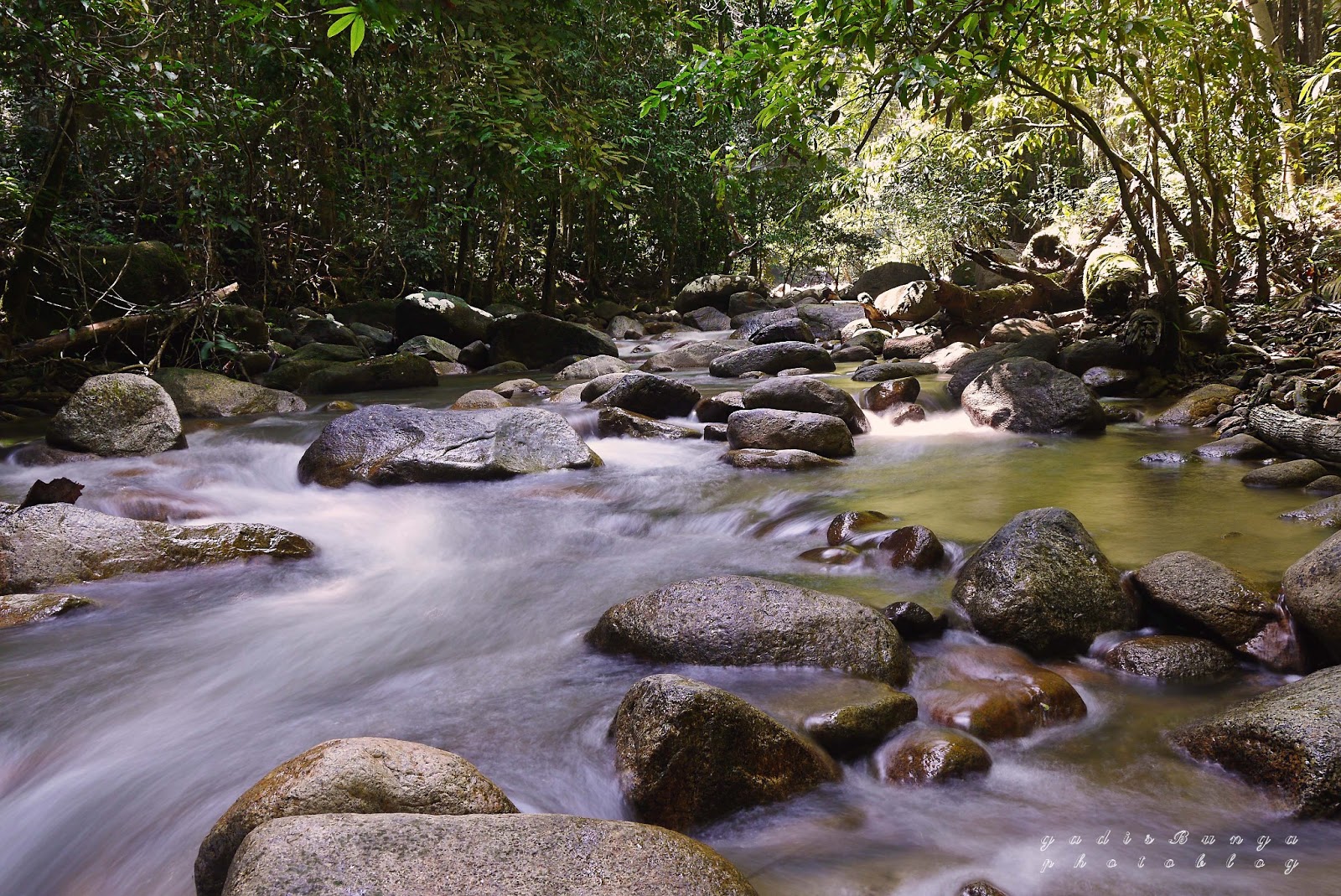 Bekok - JungleKey.in Image