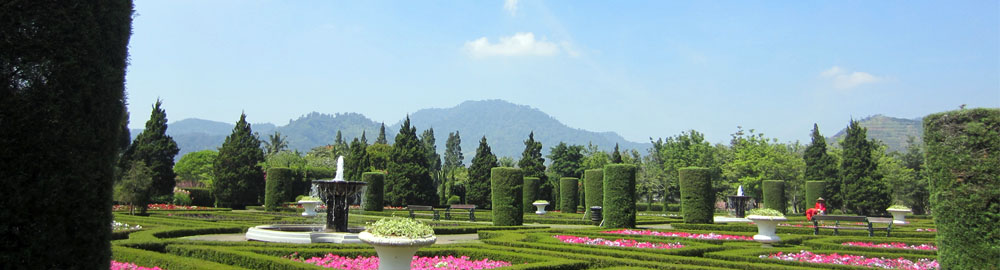 Taman Bunga Nusantara Puncak Bogor ~ Payung Rimba
