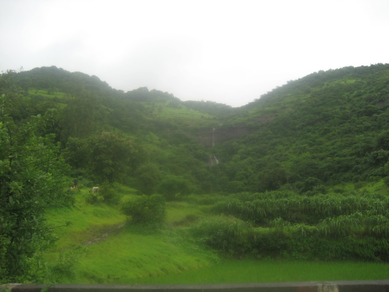 On the Edge of Sahyadris: Ahupe Ghat: A memorable walk through heaven