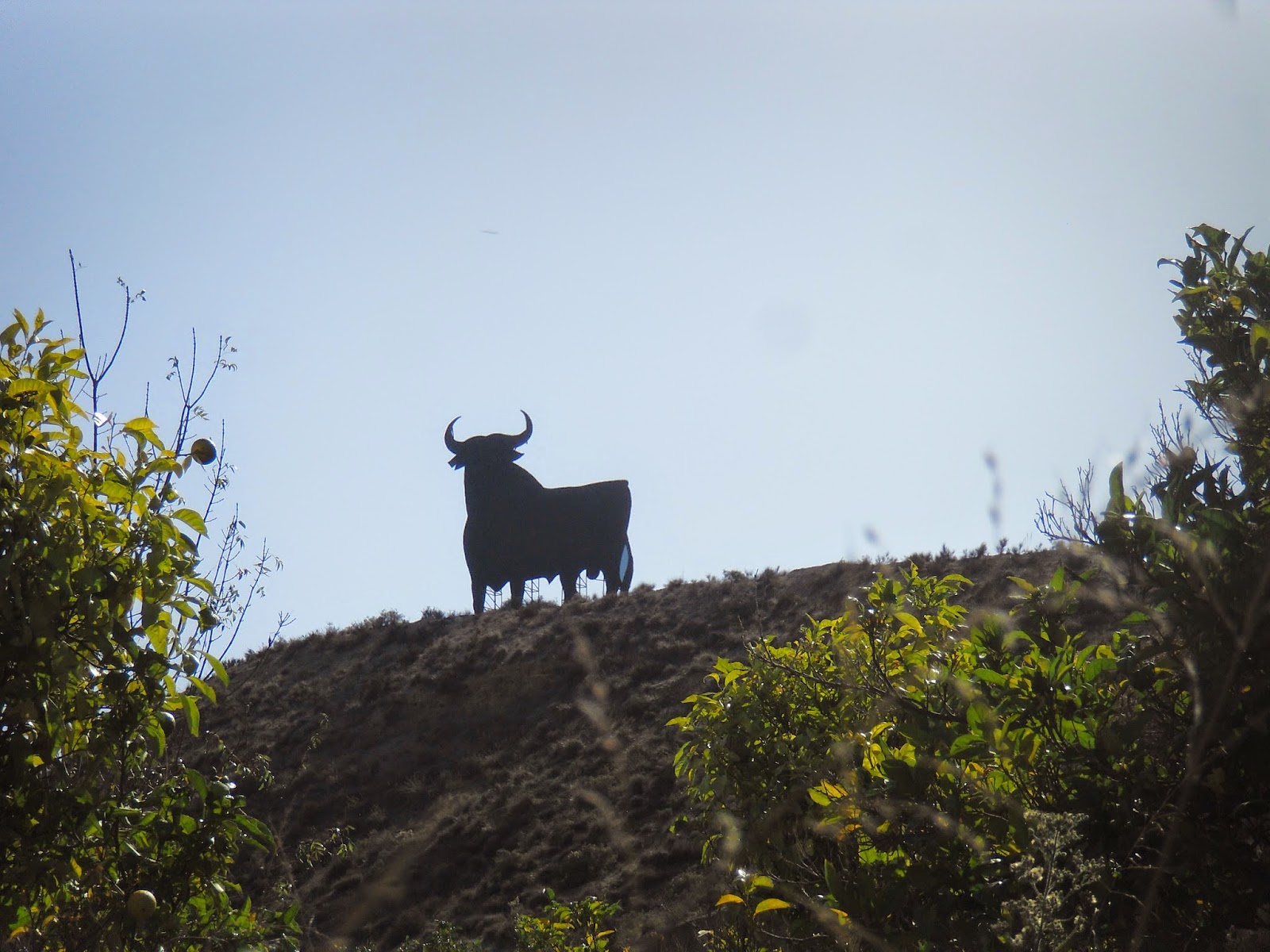 Maravillas de Almería: ¿El toro de Rioja o el toro de Benahadux?