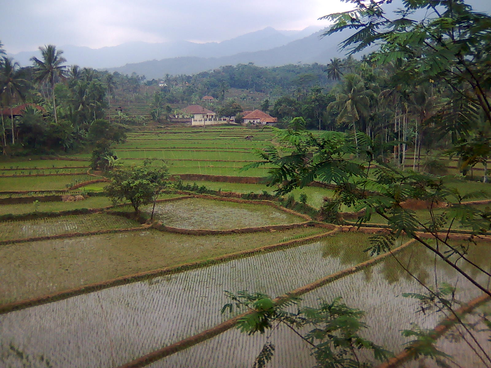 MY BEAUTYFULL SUNDA (TANAH SUNDA URANG NU ENDAH ): the best of my ...