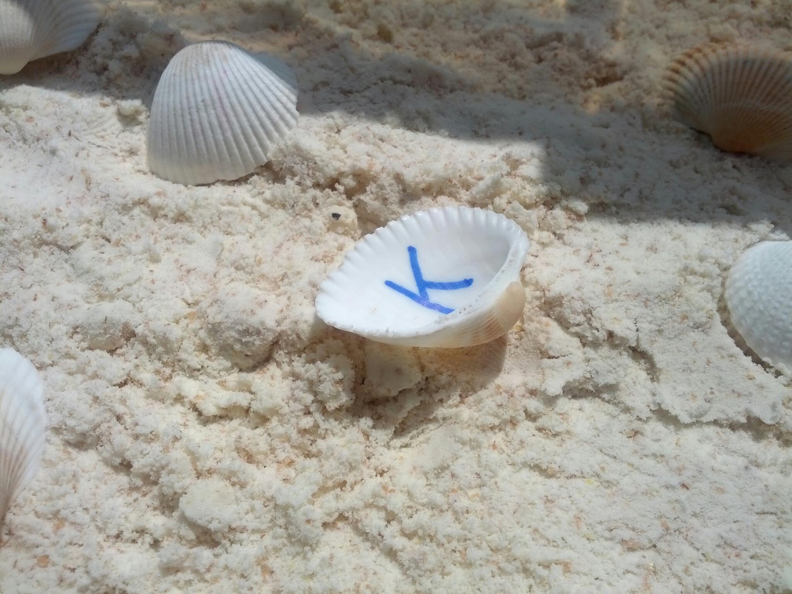 Seashell Letter Match Sensory Bin with Coconut Cloud Dough Sand | And ...