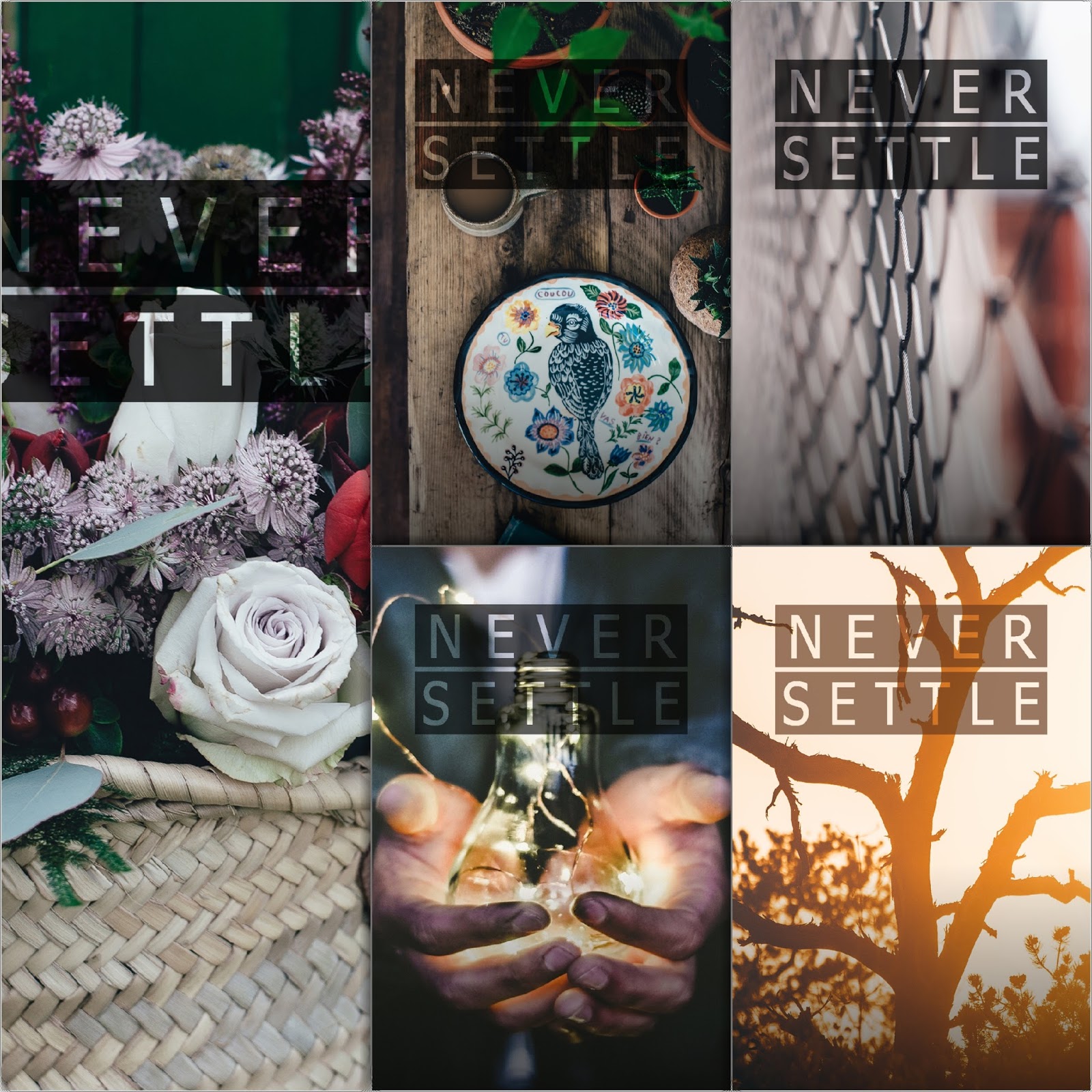 Never Settle Wallpaper Pack 8 (10 Wallpapers) - OnePlus Never Settle ...