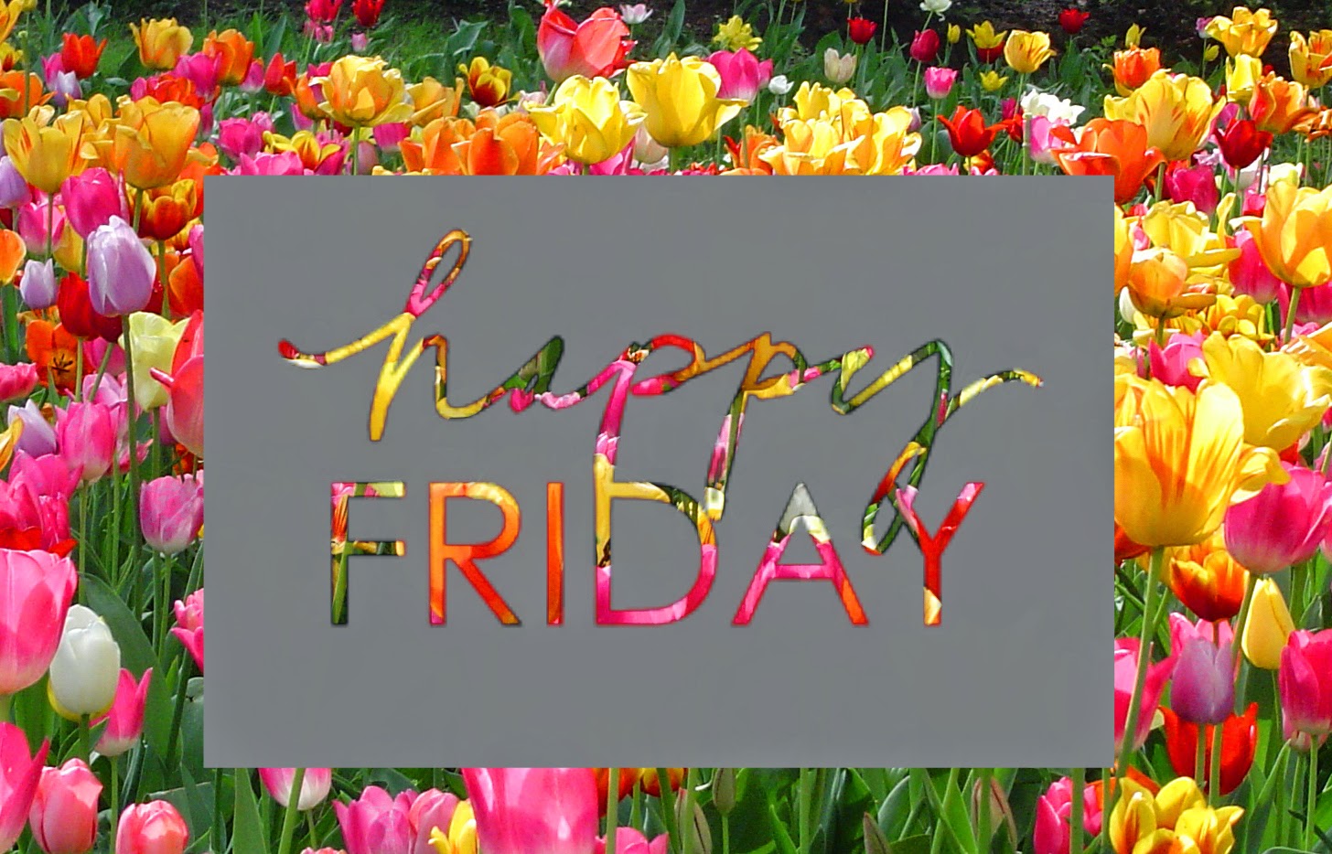 Sequins and Sea Breezes: Friday Five