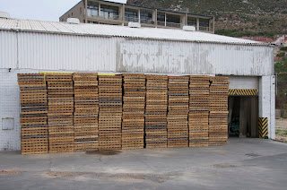 Suzassippi's Lottabusha County Chronicles: The Blue Tour Bus Day