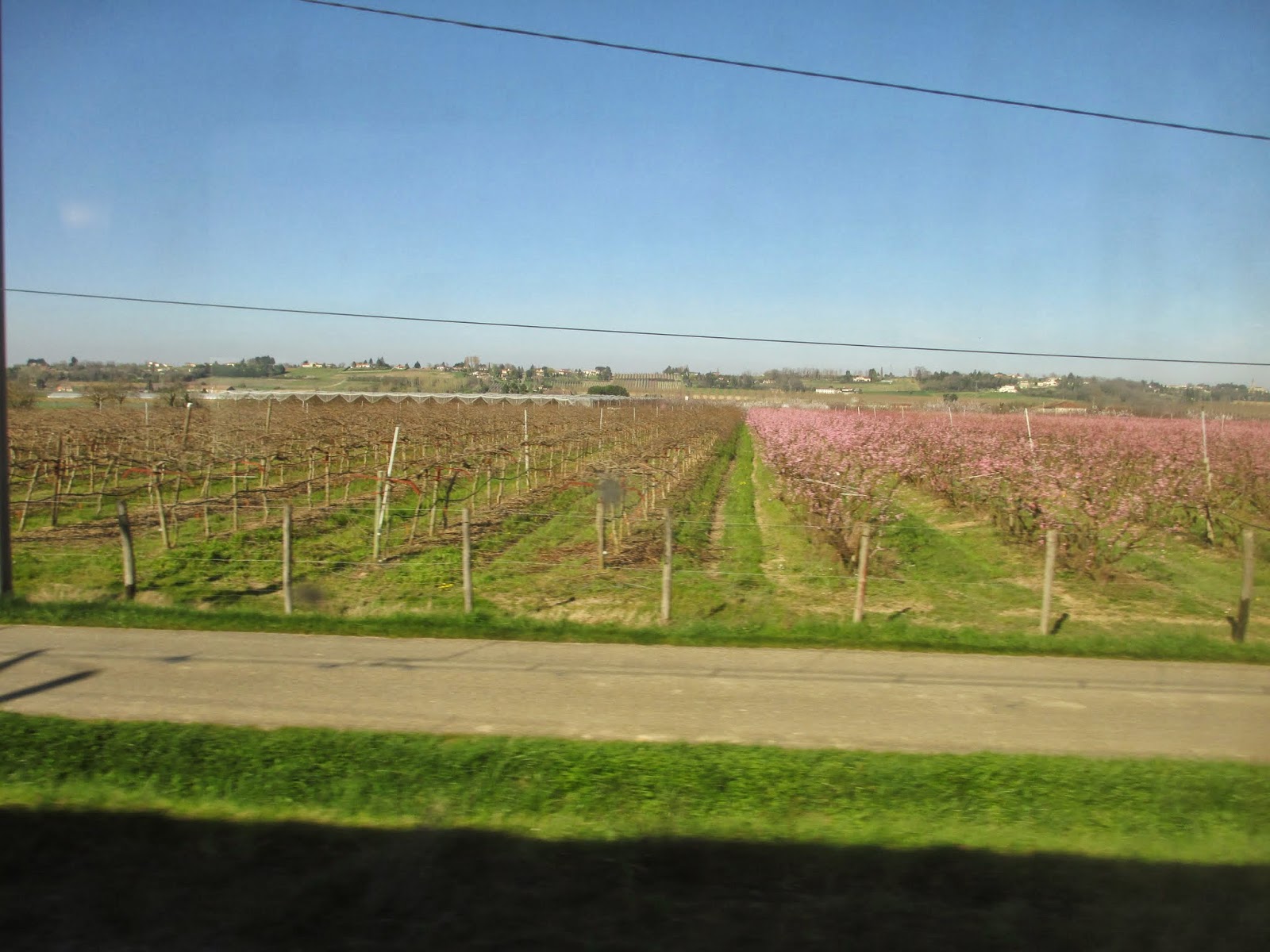 Another European Adventure with the Emlets: Beautiful spring in ...