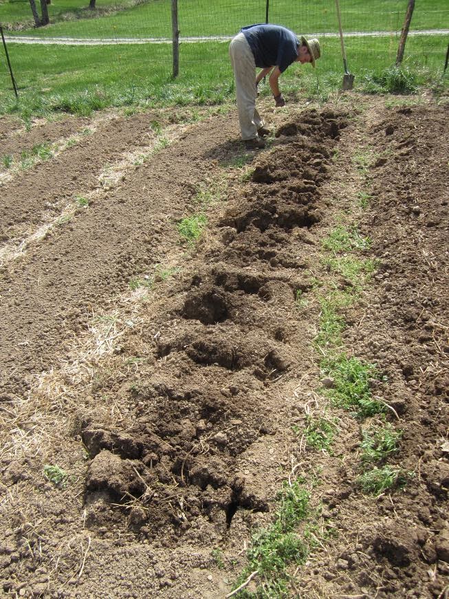 Simply Resourceful: The Benefits of Using a Broadfork