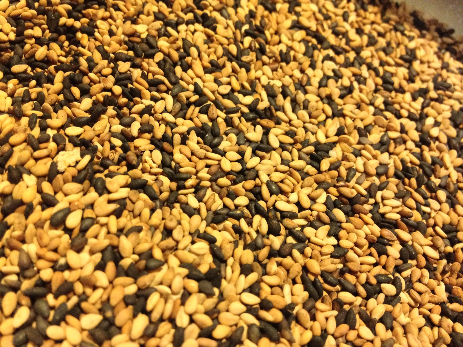 Food Locker: Thin and crispy sesame biscuits 香脆芝麻餅