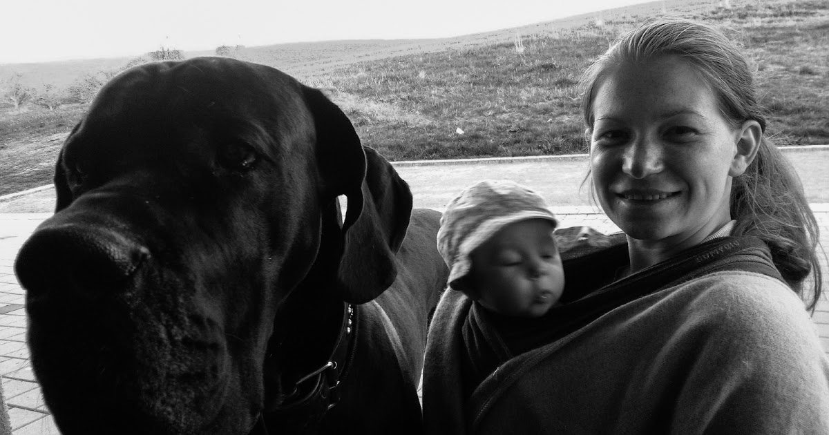 Klein & Groß - Unser Leben mit Dogge: [we're back]