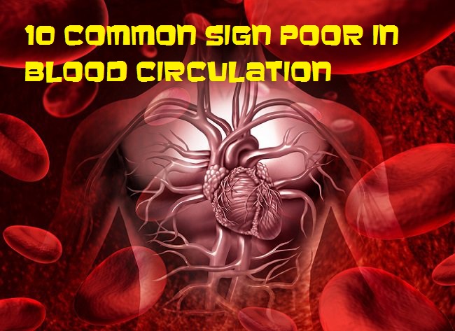 Poor blood circulation sign show ~ akufisio.blogspot