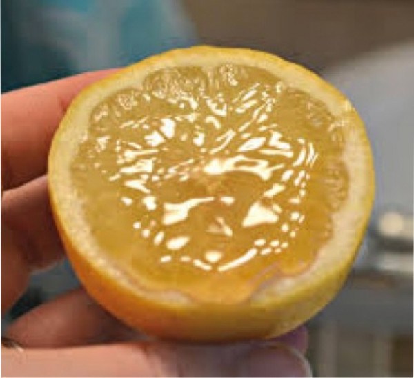Taukah Kamu?? Inilah Manfaat Luar Biasa Lemon Untuk Kecantikanmu!! Yuk ... Taukah Kamu?? Inilah Manfaat Luar Biasa Lemon Untuk Kecantikanmu!! Yuk ...
