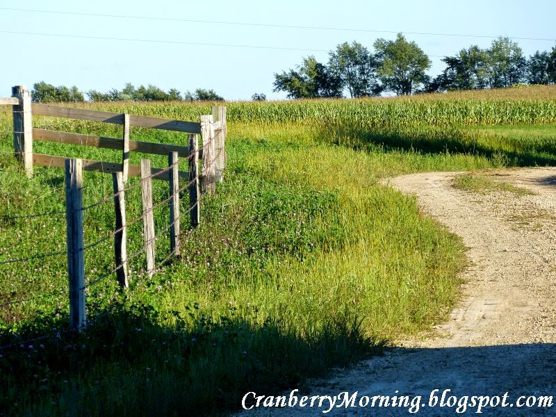 Cranberry Morning: Amish Signs, Good Fences, and Wisconsin Barns