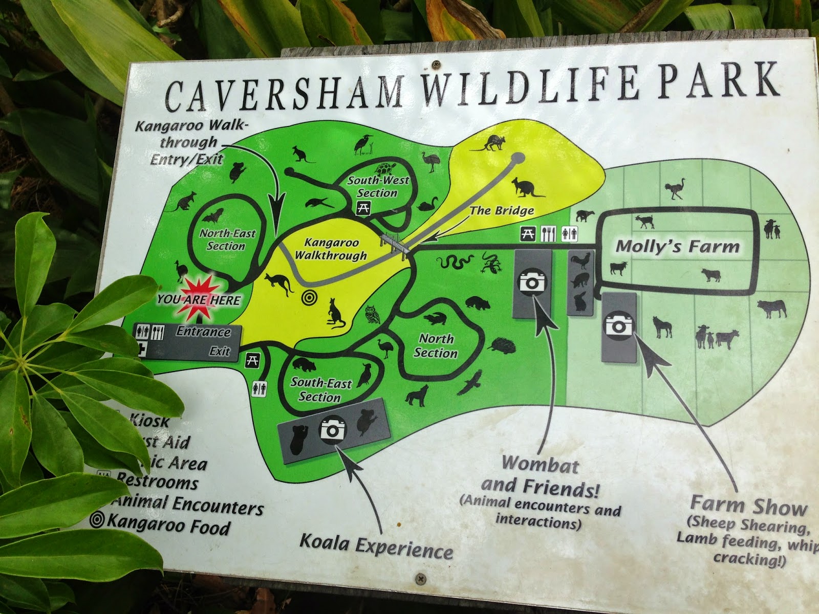 Vokurka ve světě: Caversham Wildlife Park