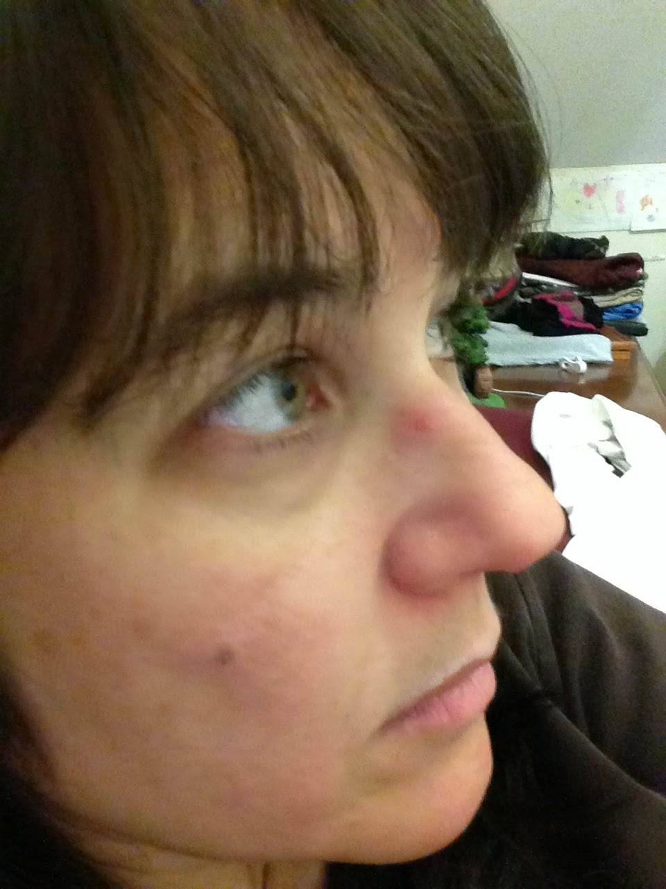 No More Lyme-ing Now I Mean It!: My Daily Journal