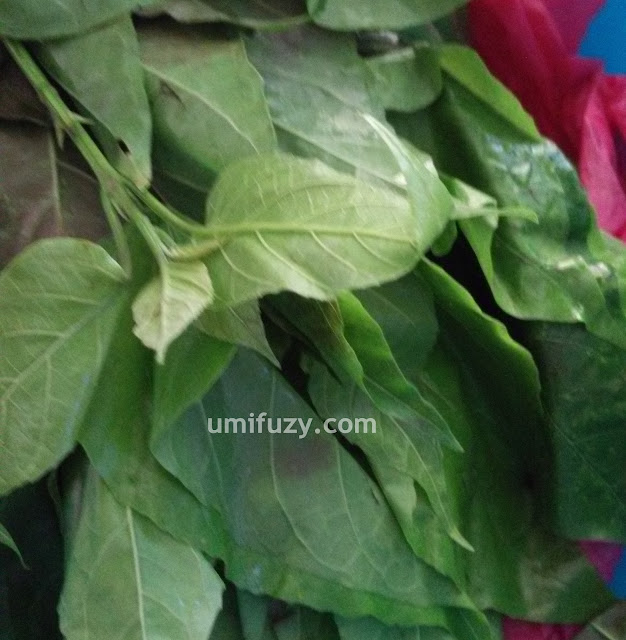 Resepi Gulai Lemak Daun Bebuas Sedap Dan Mudah - IAMFUZY™ Malaysia ...