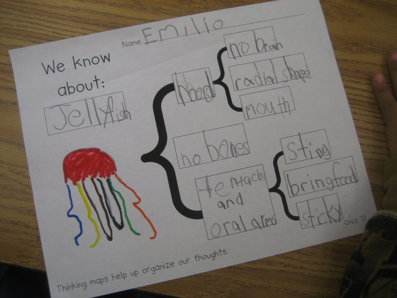my crazy life in kindergarten: Jellyfish-ing