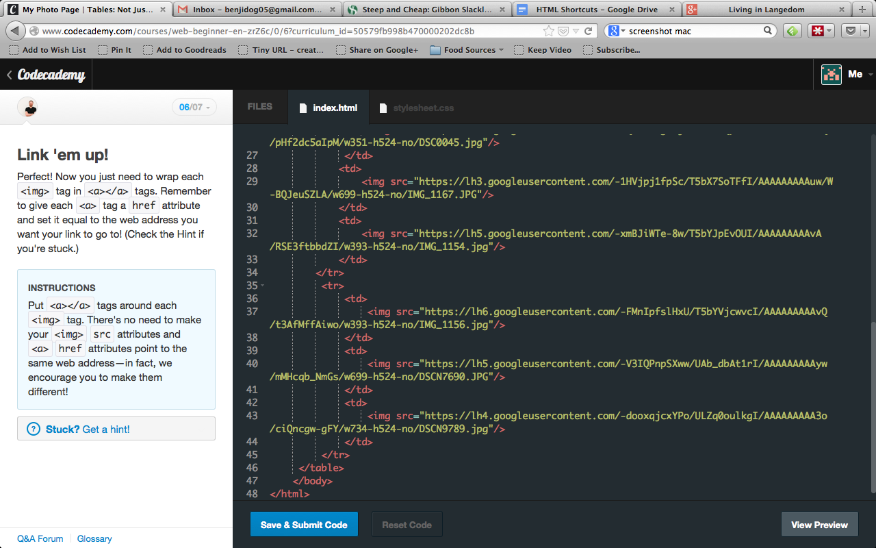 Living In Langedom Learning To Code Codecademy
