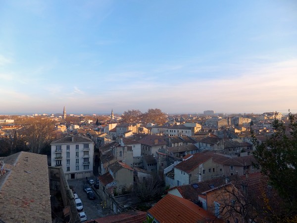 Avignon en hiver