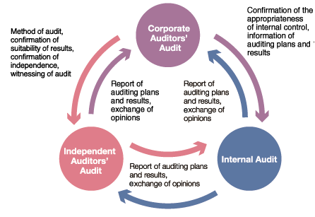AUDIT INTERNAL - dandy`s file: Internal audit