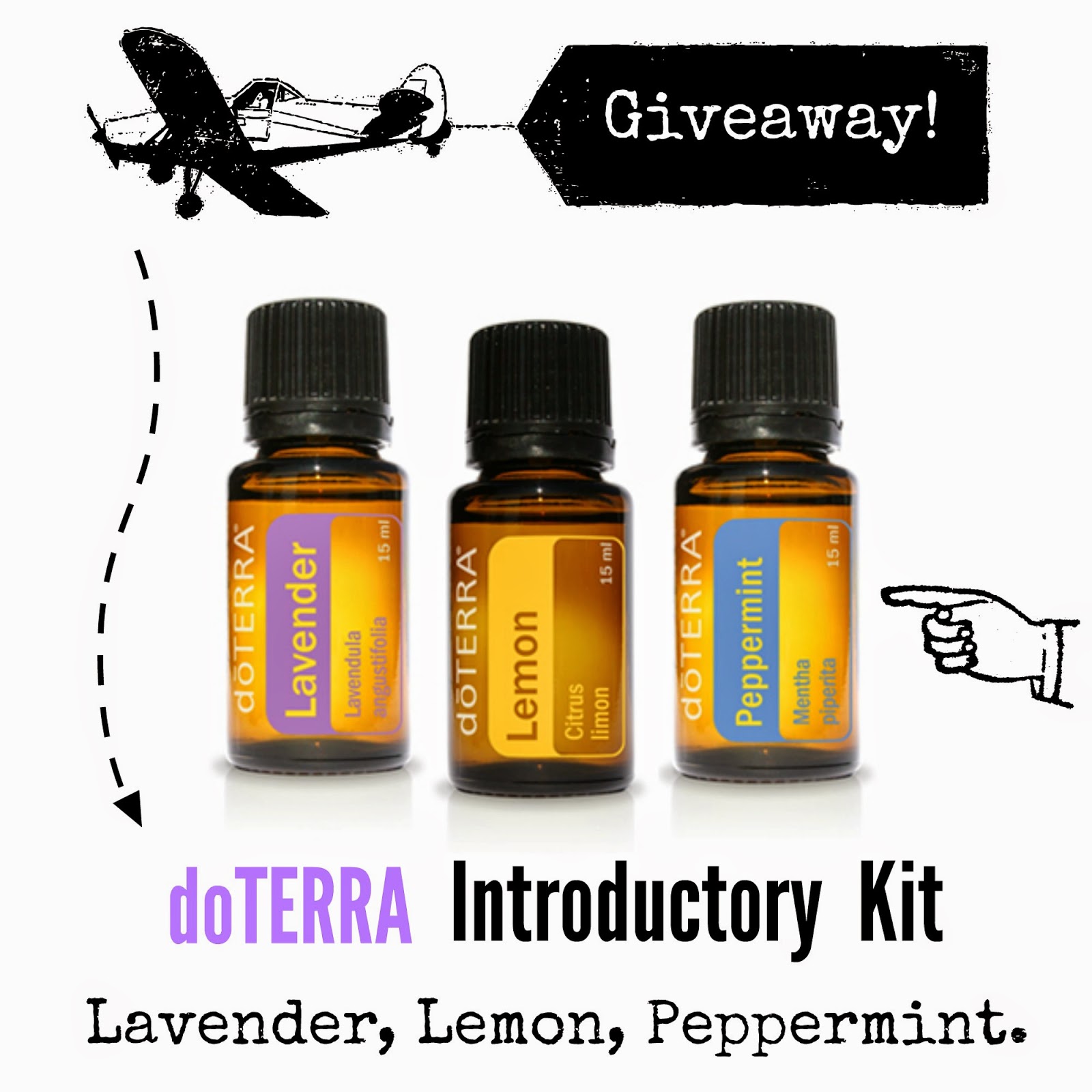 The Healthy Dweeb: Giveaway: doTERRA Introductory Kit