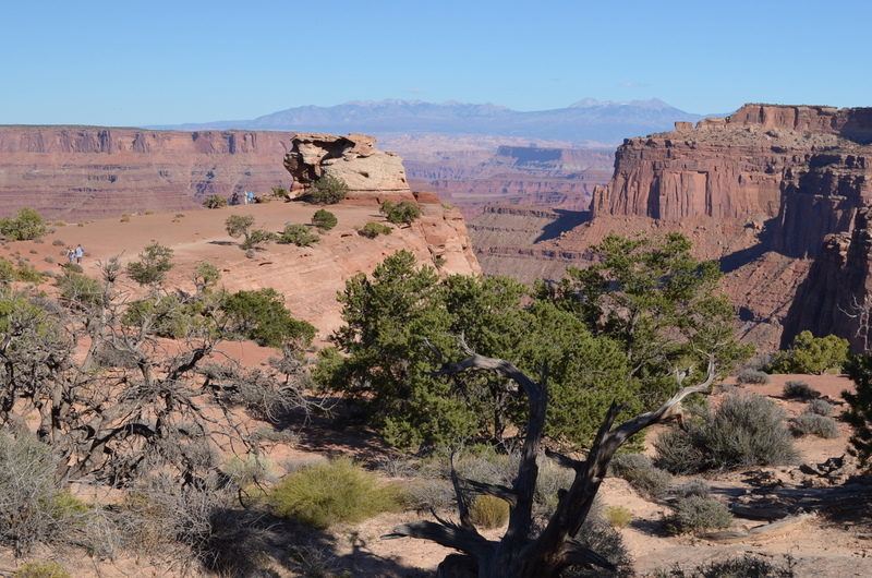 Living the Dream...: Friday, October 21, 2011 (Horsethief BLM ...