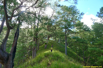 Nature-ral High: Mt. Sicapoo Traverse