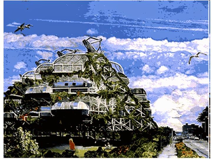 Biotecture - Tropical Architecture