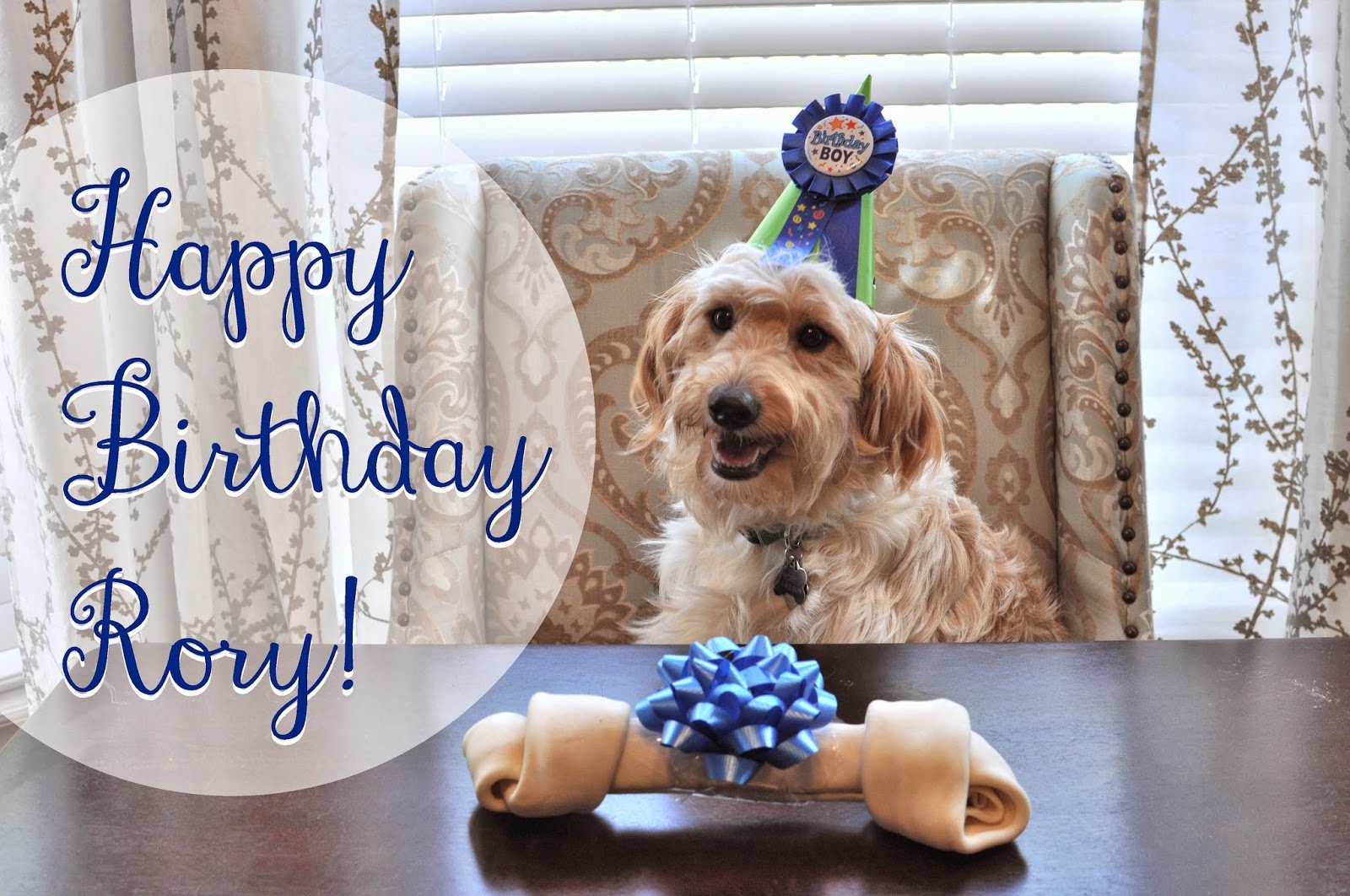 Not So Newlywed McGees: Happy Birthday Rory!